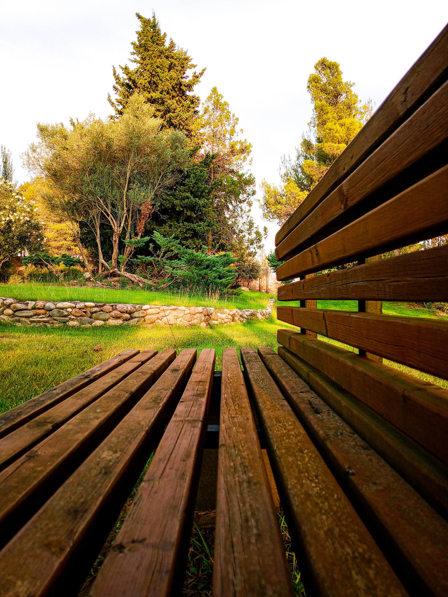 Crafting a Unique Homemade Garden Bench in 2024 - Green Harbor Tools